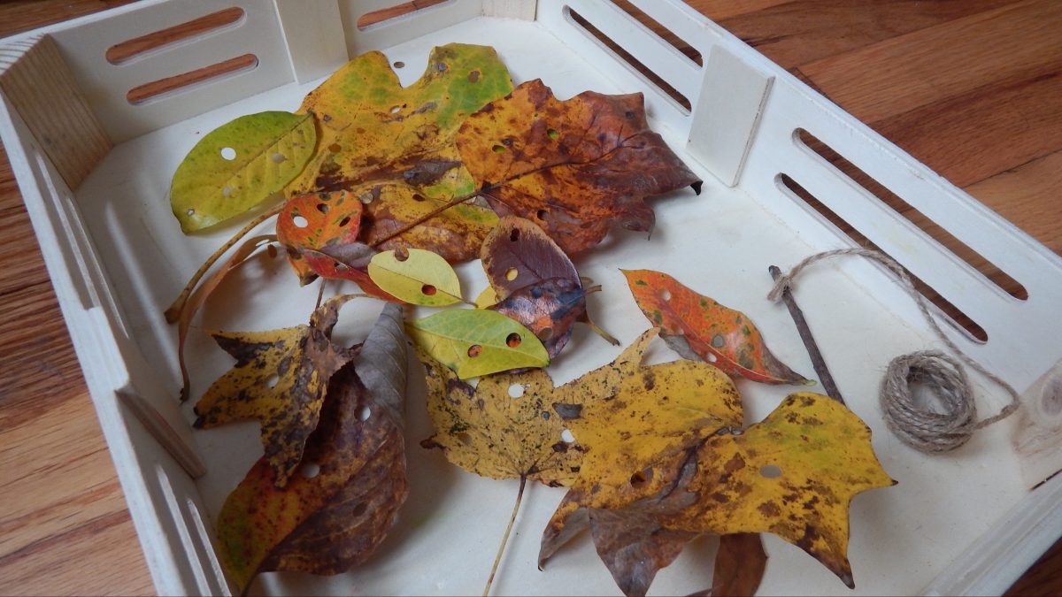 5 Fun and Easy Fall Activities Your Kids Will Love! The Montessori ...
