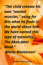 What is the Absorbent Mind in Montessori? — The Montessori-Minded Mom