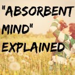 What is the Absorbent Mind? — The Montessori-Minded Mom