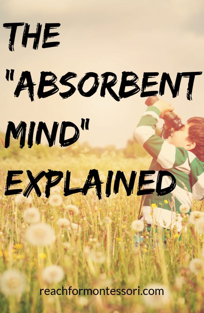 What is the Absorbent Mind in Montessori? — The Montessori-Minded Mom