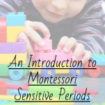 What are Sensitive Periods in Montessori? — The Montessori-Minded Mom