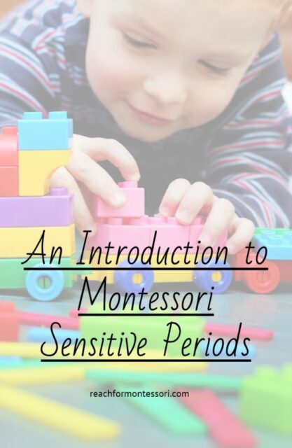 What are Sensitive Periods in Montessori? — The Montessori-Minded Mom