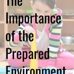 Why is the Prepared Environment so Important in Montessori? — The ...