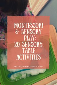 Montessori and Sensory Bins: 20 Sensory Bin Activities