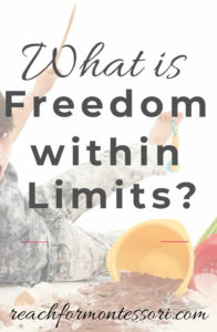 What Does "Freedom Within Limits" Really Mean? — The Montessori-Minded Mom