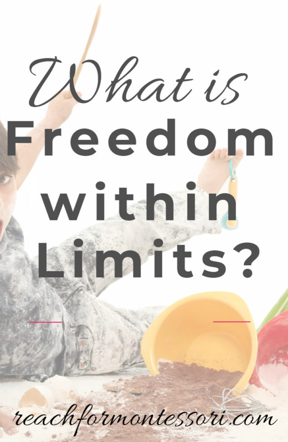 What Does "Freedom Within Limits" Really Mean? — The Montessori-Minded Mom