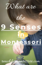 What are the 9 Senses in Montessori? — The Montessori-Minded Mom