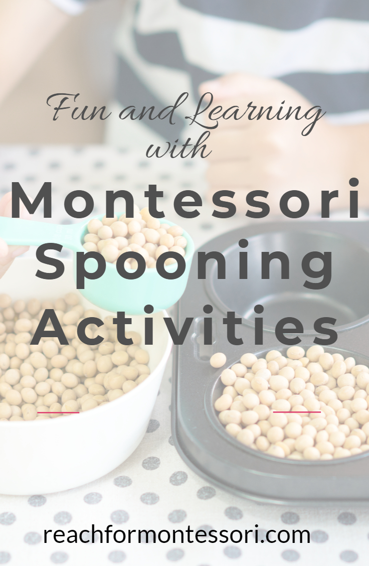 Fun and Learning with Montessori Spooning Activities — The Montessori ...
