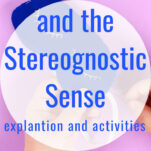 Stereognostic Sense in Montessori: Definition and Activities — The ...