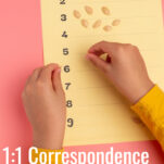 1:1 Correspondence in Montessori Math: Explanation and Activity Ideas ...