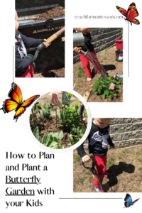 Planting a Butterfly Garden: An Outdoor Activity for Kids — The ...