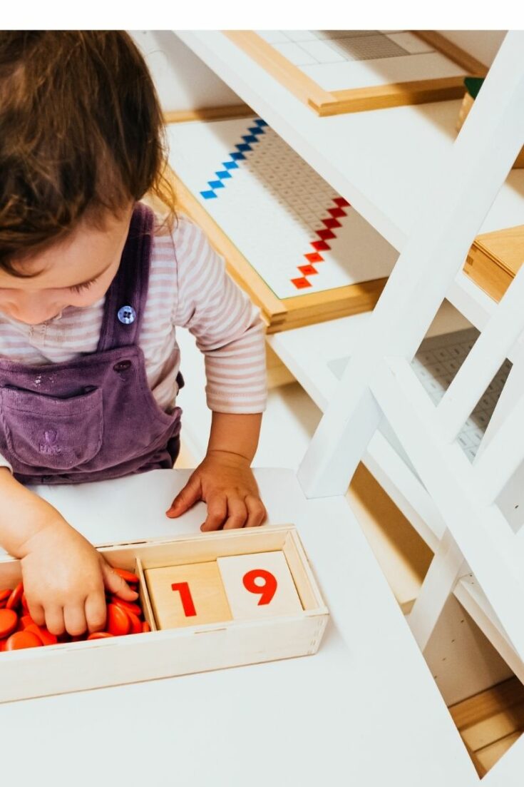 Montessori Cards and Counters: Explanation and Presentation — The ...