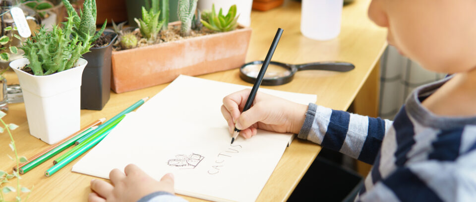 How Montessori Teaches Writing: Lessons & Materials — The Montessori ...