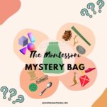 The Mystery Bag in Montessori: Explanation & Lesson — The Montessori ...